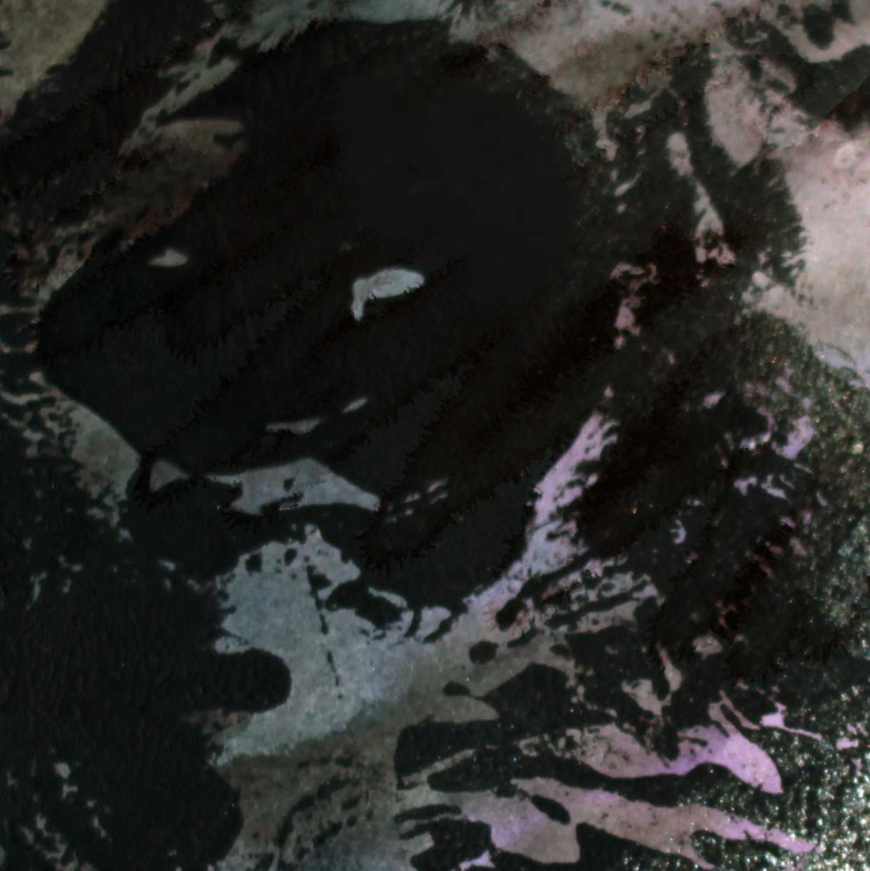 Bio & Contact | Inkplasma